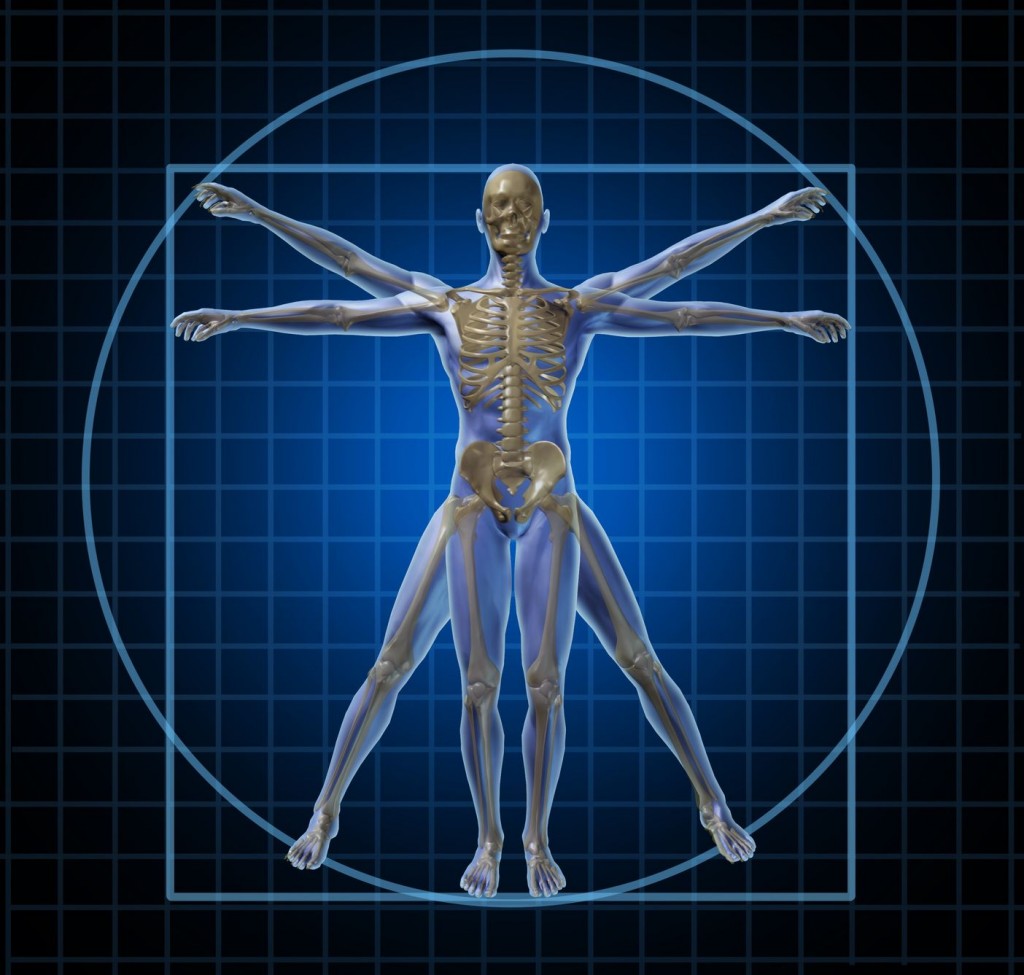 KINESITHERAPIE - CHAINES MUSCULAIRES - POSTUROLOGIE